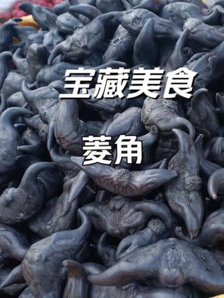 水菱角长什么样_水菱角和菱角区别-第1张图片-山城妙识