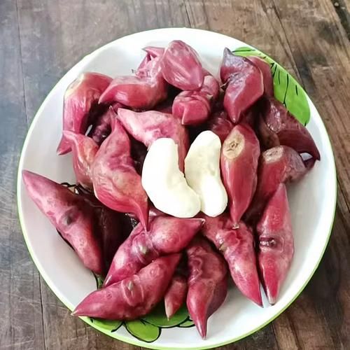 水菱角长什么样_水菱角和菱角区别-第3张图片-山城妙识