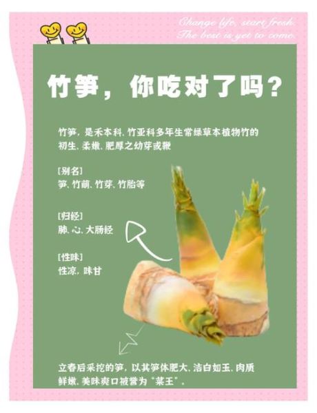 冬笋是什么竹子的笋_冬笋和春笋区别-第1张图片-山城妙识
