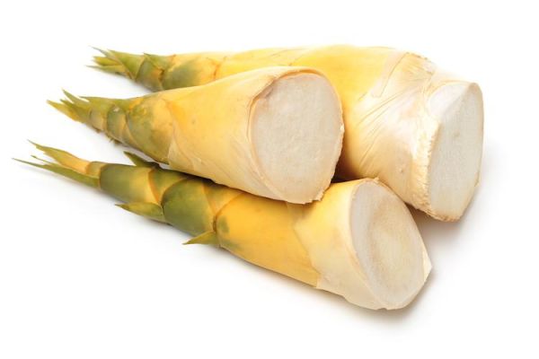 冬笋是什么竹子的笋_冬笋和春笋区别-第2张图片-山城妙识