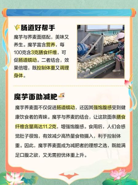 减肥吃荞麦面还是魔芋面_哪个更掉秤-第2张图片-山城妙识