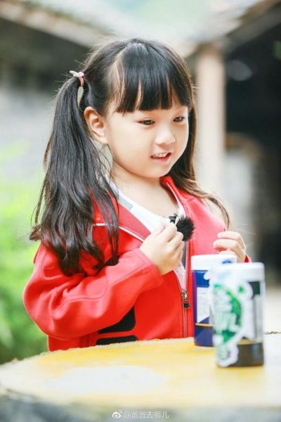 小山竹图片_怎么拍才好看-第2张图片-山城妙识