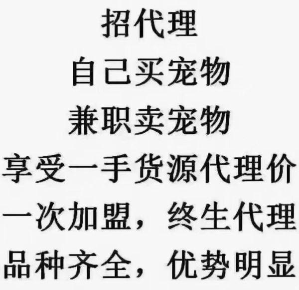 加盟网店代理怎么做_新手能赚钱吗-第2张图片-山城妙识