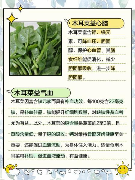 木耳菜副作用有哪些_什么人不能吃-第1张图片-山城妙识