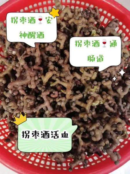 拐枣泡酒壮阳吗_拐枣酒功效真假-第1张图片-山城妙识