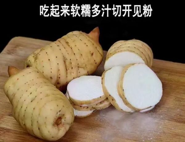 天麻炖鸡蛋怎么做_天麻炖鸡蛋的功效与禁忌-第3张图片-山城妙识