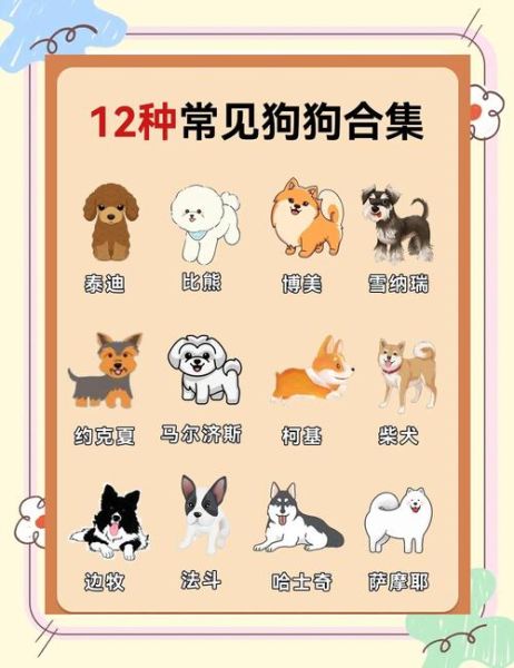 适合家养的狗有哪些_新手养狗推荐-第1张图片-山城妙识 适合家养的狗有哪些_新手养狗推荐-第1张图片-山城妙识