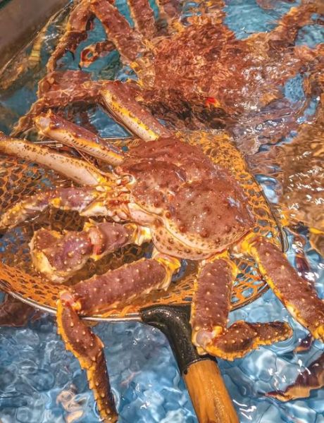 帝王蟹死了能不能吃了_如何判断还能不能吃-第3张图片-山城妙识