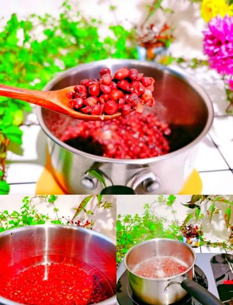 赤豆酒酿的做法_赤豆酒酿的功效与禁忌-第3张图片-山城妙识