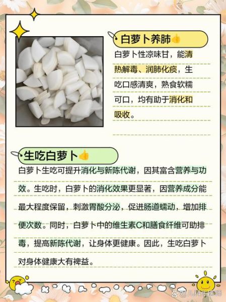 白萝卜生吃好还是熟吃好_白萝卜的功效与作用有哪些-第2张图片-山城妙识