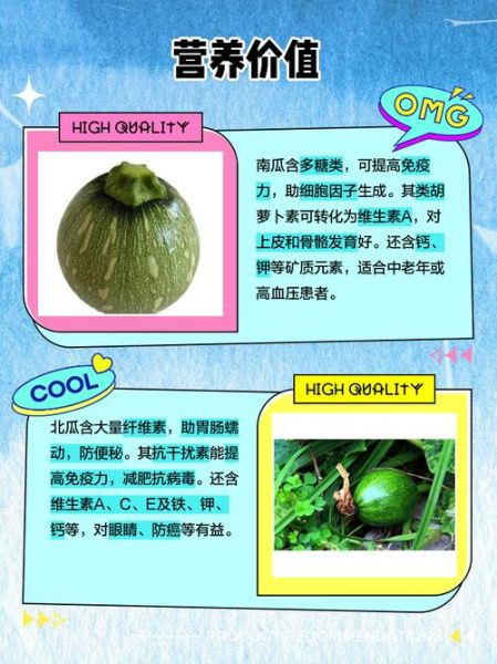 北瓜和南瓜是一种瓜吗_区别与真相-第1张图片-山城妙识