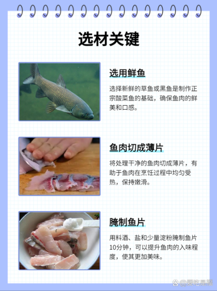 酸菜鱼怎么做才正宗_正宗酸菜鱼用什么鱼最好-第1张图片-山城妙识