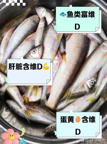 哪些食物含维生素d高_维生素d食物排行榜-第1张图片-山城妙识