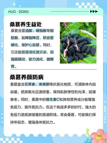 桑葚的作用与功效有哪些_桑葚怎么吃效果最好-第2张图片-山城妙识 桑葚的作用与功效有哪些_桑葚怎么吃效果最好-第2张图片-山城妙识