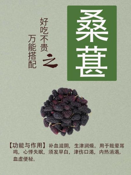 桑葚的作用与功效有哪些_桑葚怎么吃效果最好-第3张图片-山城妙识 桑葚的作用与功效有哪些_桑葚怎么吃效果最好-第3张图片-山城妙识