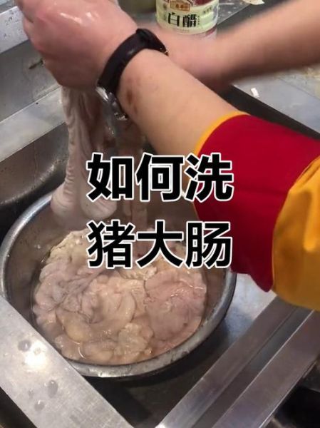 猪大肠怎么清洗_猪大肠怎么才能洗干净-第3张图片-山城妙识