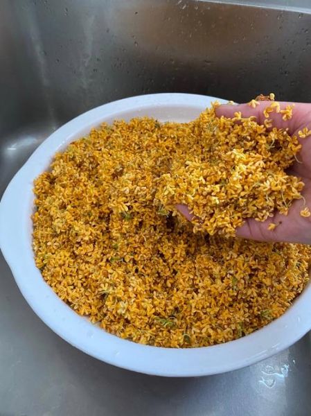 糖桂花怎么做_糖桂花保存多久-第1张图片-山城妙识 糖桂花怎么做_糖桂花保存多久-第1张图片-山城妙识