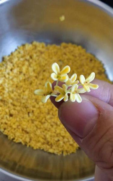 糖桂花怎么做_糖桂花保存多久-第2张图片-山城妙识 糖桂花怎么做_糖桂花保存多久-第2张图片-山城妙识