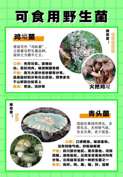哪些野生菌可以吃_如何辨别可食用野生菌-第3张图片-山城妙识 哪些野生菌可以吃_如何辨别可食用野生菌-第3张图片-山城妙识