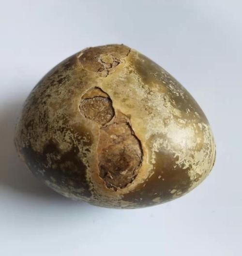 羊宝是什么样子的_羊宝图片真实长啥样-第1张图片-山城妙识