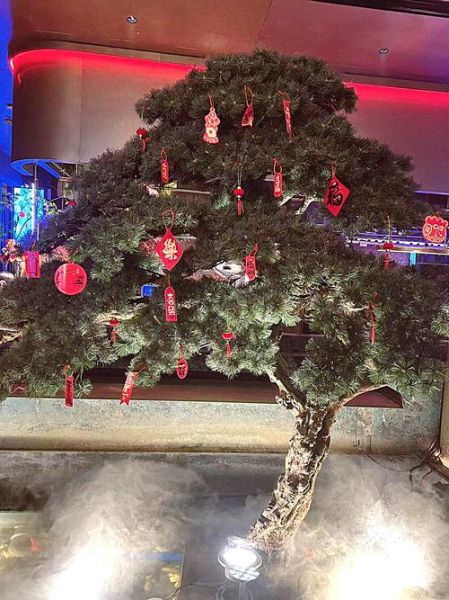 一只八斤的帝王蟹多少钱_帝王蟹价格影响因素-第2张图片-山城妙识 一只八斤的帝王蟹多少钱_帝王蟹价格影响因素-第2张图片-山城妙识