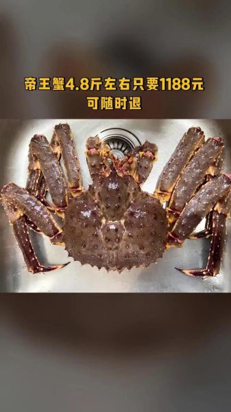 一只八斤的帝王蟹多少钱_帝王蟹价格影响因素-第3张图片-山城妙识 一只八斤的帝王蟹多少钱_帝王蟹价格影响因素-第3张图片-山城妙识