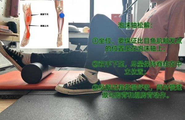 比目鱼肌线怎么练_比目鱼肌线多久能练出来-第2张图片-山城妙识