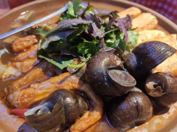 巨型田螺怎么养_巨型田螺吃什么-第3张图片-山城妙识 巨型田螺怎么养_巨型田螺吃什么-第3张图片-山城妙识