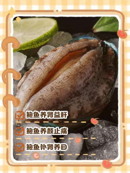 深海鱼怎么养_包桑为什么离开-第1张图片-山城妙识 深海鱼怎么养_包桑为什么离开-第1张图片-山城妙识