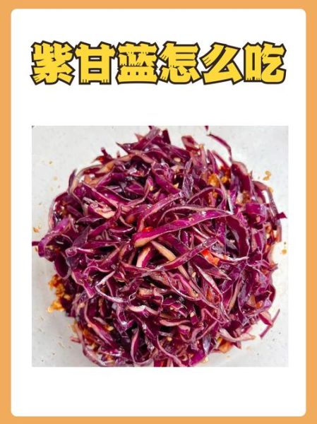 紫甘蓝图片大全_紫甘蓝怎么挑选最新鲜-第3张图片-山城妙识 紫甘蓝图片大全_紫甘蓝怎么挑选最新鲜-第3张图片-山城妙识