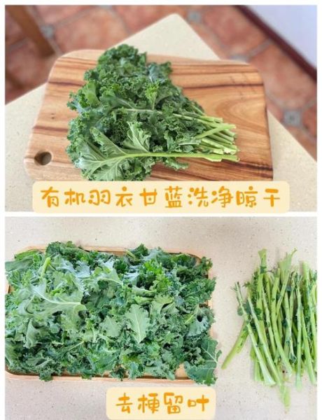 羽衣甘蓝怎么做好吃_羽衣甘蓝可以生吃吗-第2张图片-山城妙识
