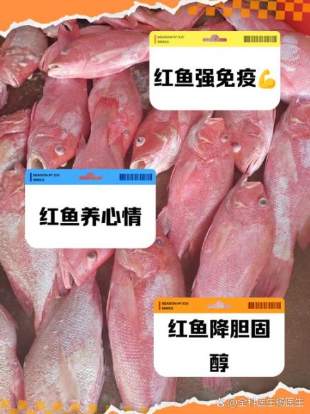 小红鱼吃什么食物_小红鱼多久喂一次-第1张图片-山城妙识