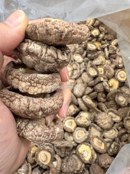 花菇大的好还是小的好_选购指南-第2张图片-山城妙识