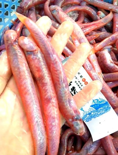 小红鱼吃什么食物_小红鱼多久喂一次-第2张图片-山城妙识