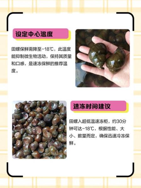 田螺有杀不死的寄生虫吗_如何避免感染-第1张图片-山城妙识