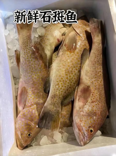 石斑鱼怎么蒸才鲜嫩_石斑鱼清蒸几分钟最好-第3张图片-山城妙识