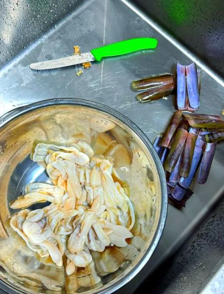 竹蛏子怎么清洗_竹蛏子图片大全-第1张图片-山城妙识