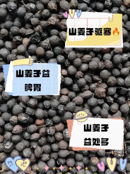 山姜子长什么样_山姜子功效与作用-第1张图片-山城妙识