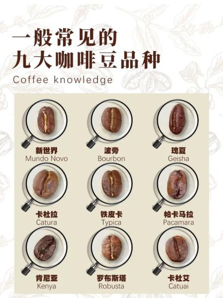 咖啡豆种类有哪些_不同口味区别在哪-第2张图片-山城妙识