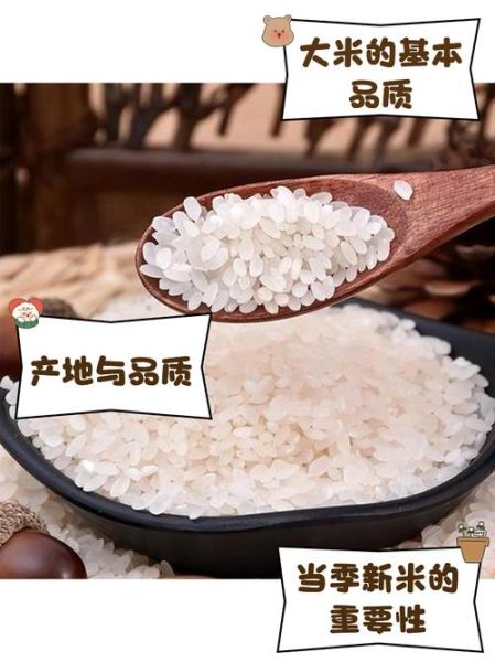 大米评测怎么样_大米评测值得看吗-第2张图片-山城妙识 大米评测怎么样_大米评测值得看吗-第2张图片-山城妙识