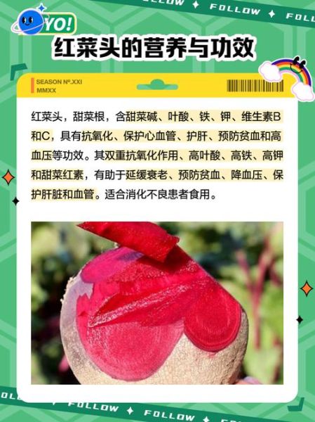 红菜头怎么保存_红菜头可以生吃吗-第1张图片-山城妙识 红菜头怎么保存_红菜头可以生吃吗-第1张图片-山城妙识