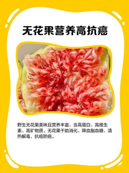 野生无花果长什么样_如何辨别可食用品种-第2张图片-山城妙识 野生无花果长什么样_如何辨别可食用品种-第2张图片-山城妙识