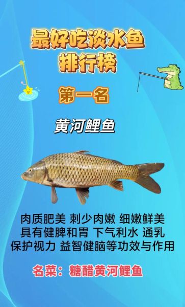 中国最好吃的淡水鱼有哪些_淡水鱼排行榜前十名-第2张图片-山城妙识