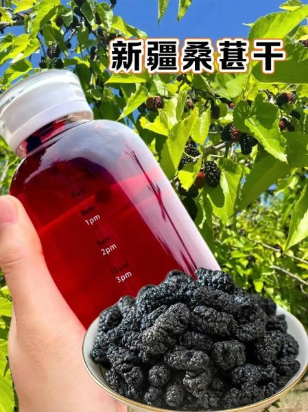 干桑葚怎么吃效果最好_干桑葚一天吃多少粒-第3张图片-山城妙识