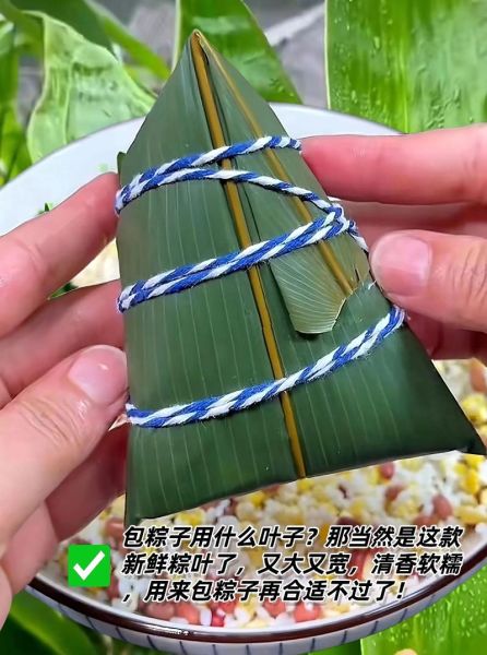 包粽子需要哪些材料_糯米粽叶怎么选-第1张图片-山城妙识