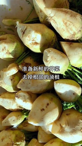 腌芥菜疙瘩怎么腌好吃_腌芥菜疙瘩配方-第1张图片-山城妙识