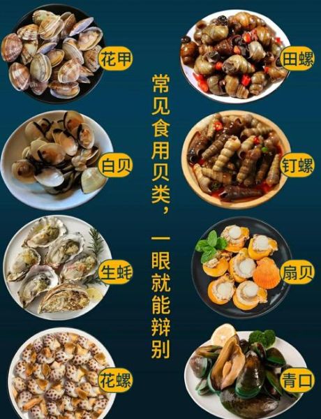 贝壳类的海鲜有哪些_常见贝类品种大全-第1张图片-山城妙识