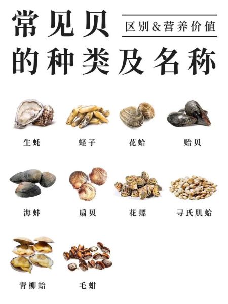 贝壳类的海鲜有哪些_常见贝类品种大全-第3张图片-山城妙识