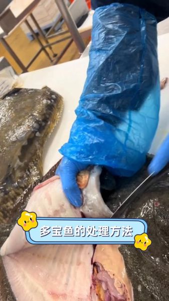 多宝鱼如何清理_多宝鱼内脏怎么处理-第1张图片-山城妙识