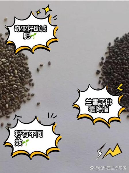 兰香子不能和什么一起吃_兰香子禁忌人群有哪些-第1张图片-山城妙识